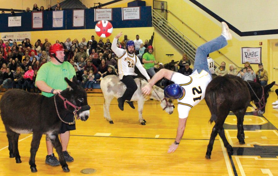 BIG Question: What Are These Animal Related Sports? – EMS Sound